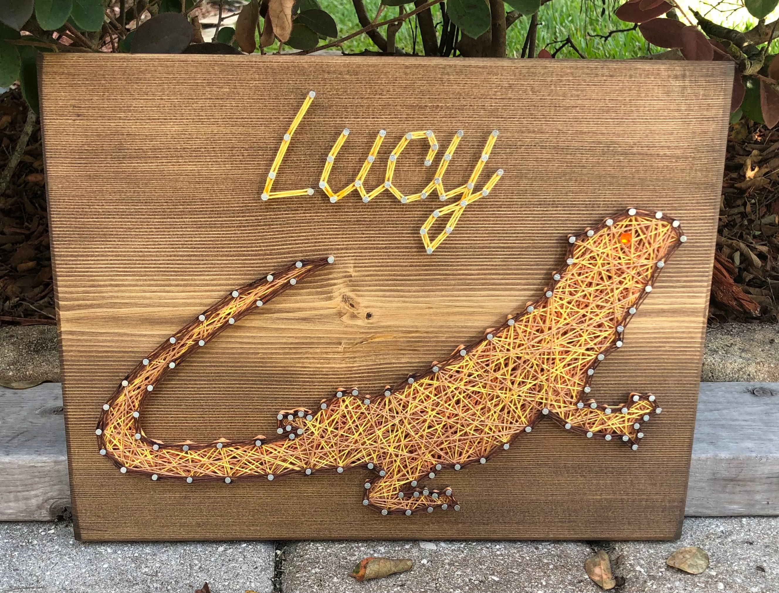 Made to Order Bearded Dragon String Art Lizard Art - Etsy