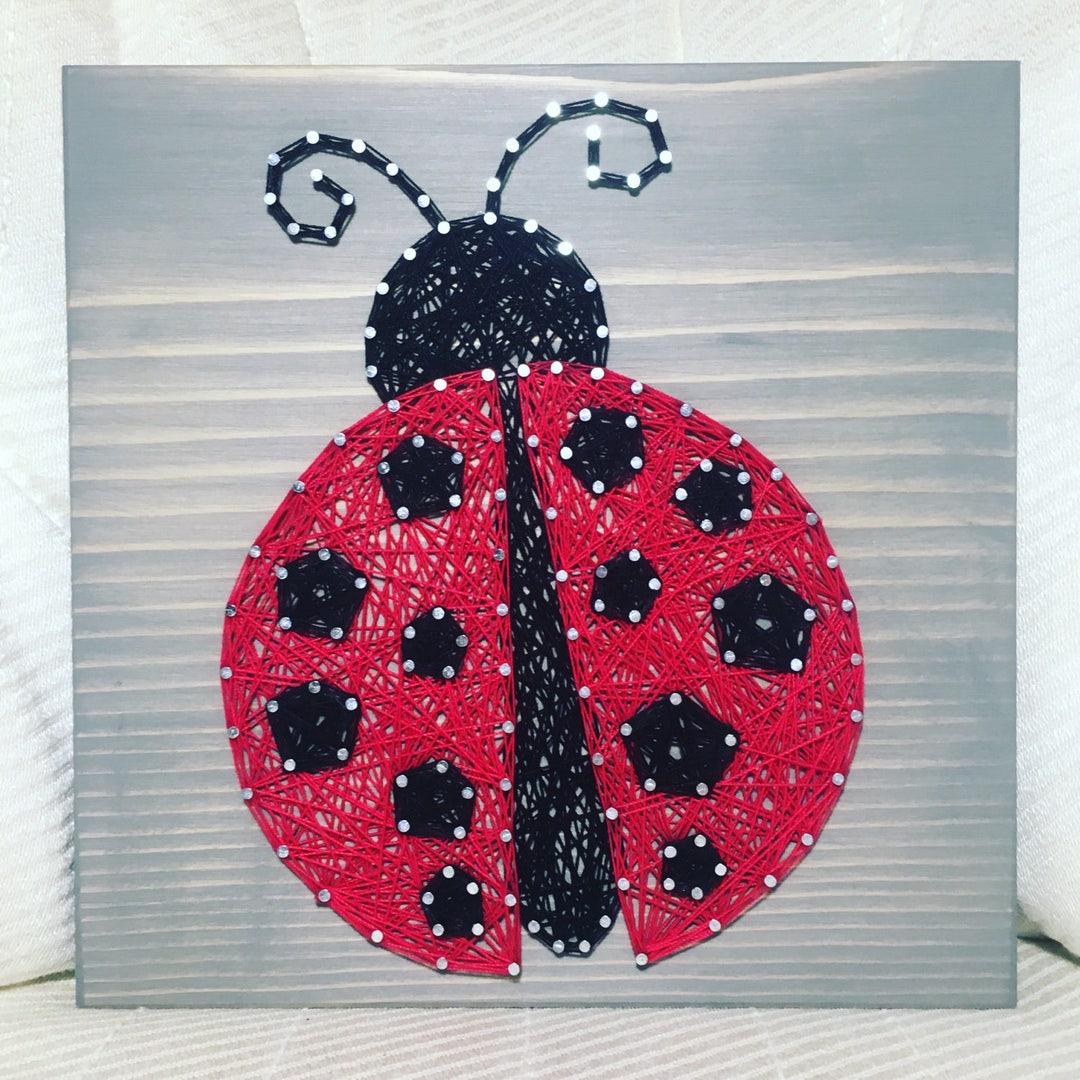 MADE TO ORDER Ladybug String Art Insect Bug Collector - Etsy