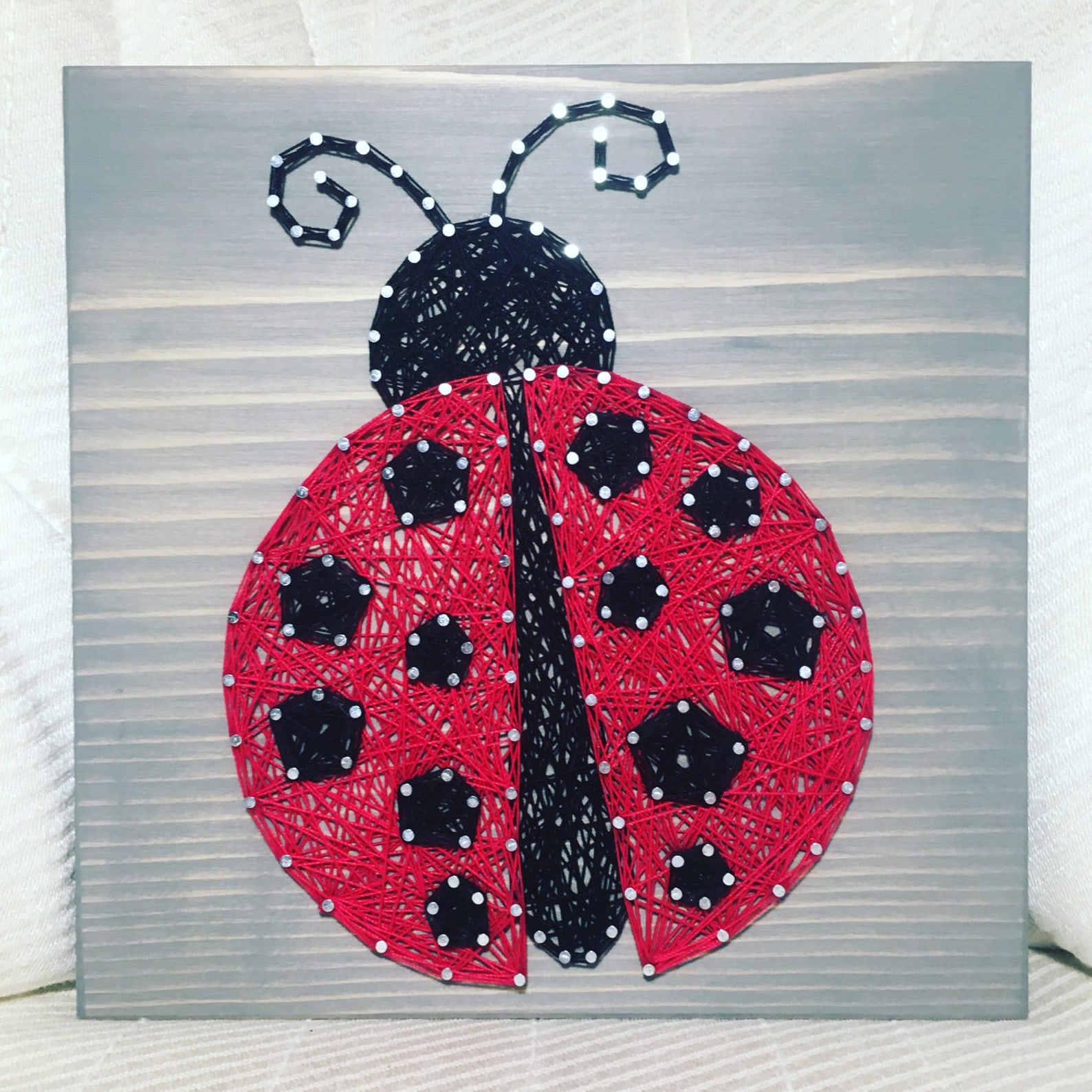 MADE TO ORDER Ladybug String Art Insect Bug Collector | Etsy