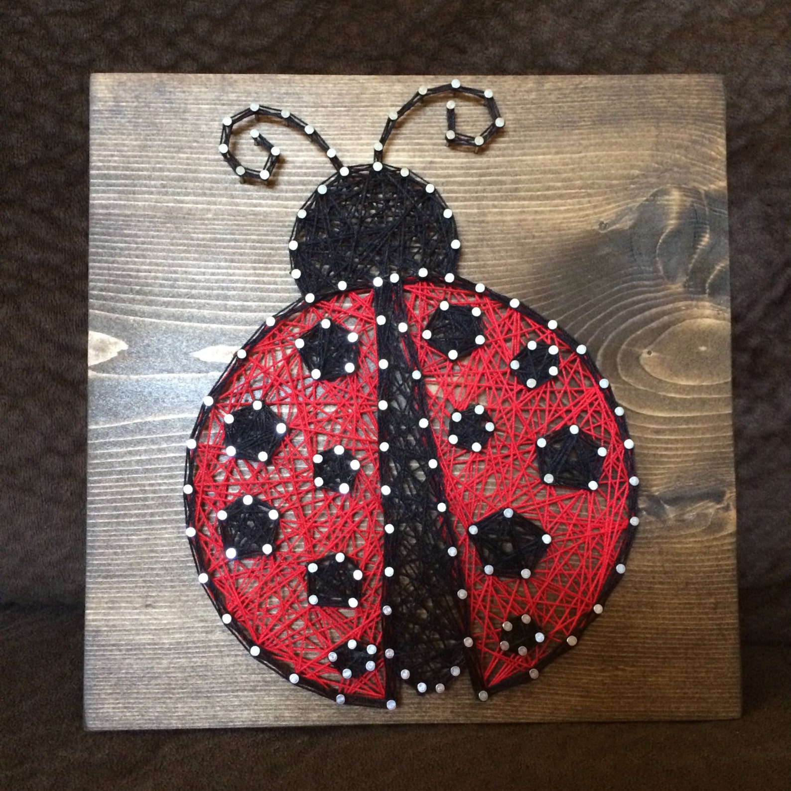MADE TO ORDER Ladybug String Art Insect Bug Collector | Etsy