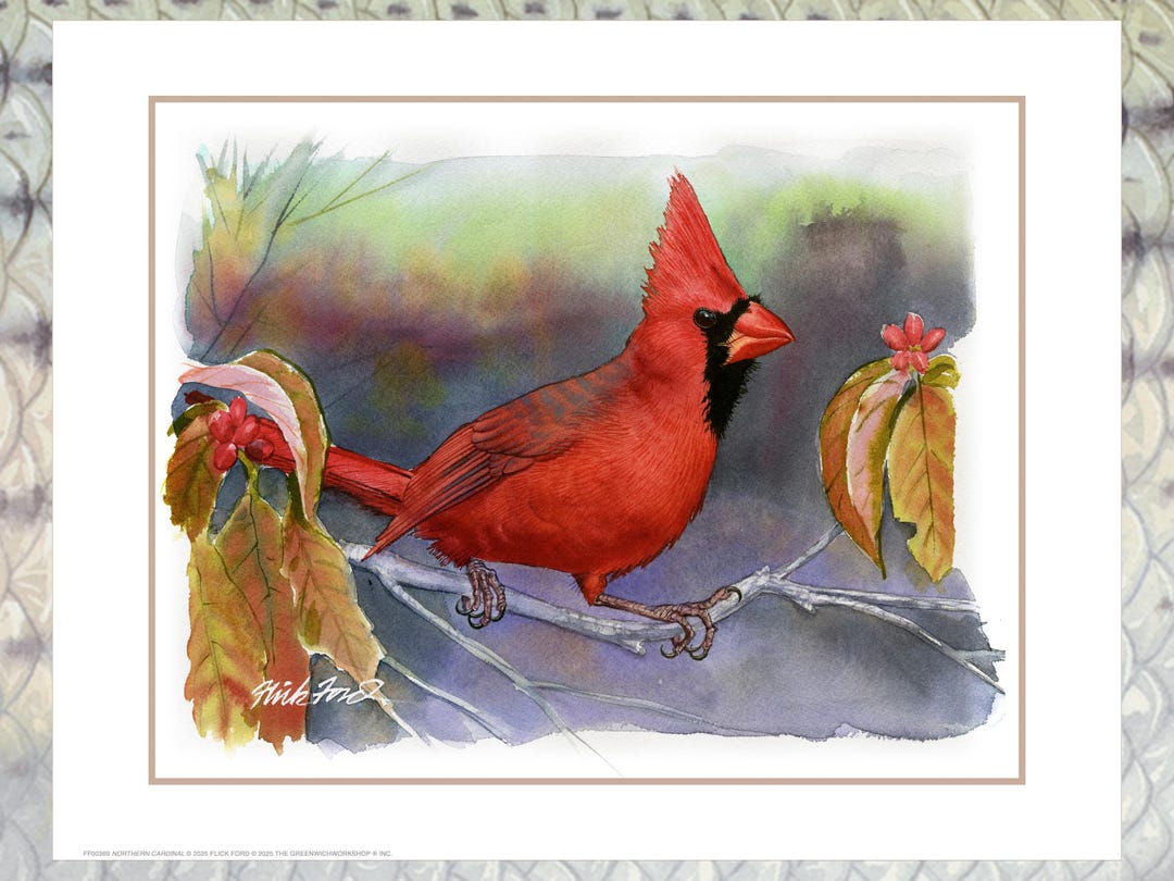 Northern Cardinal Open Edition Print by Flick Ford, Natural History Art ...
