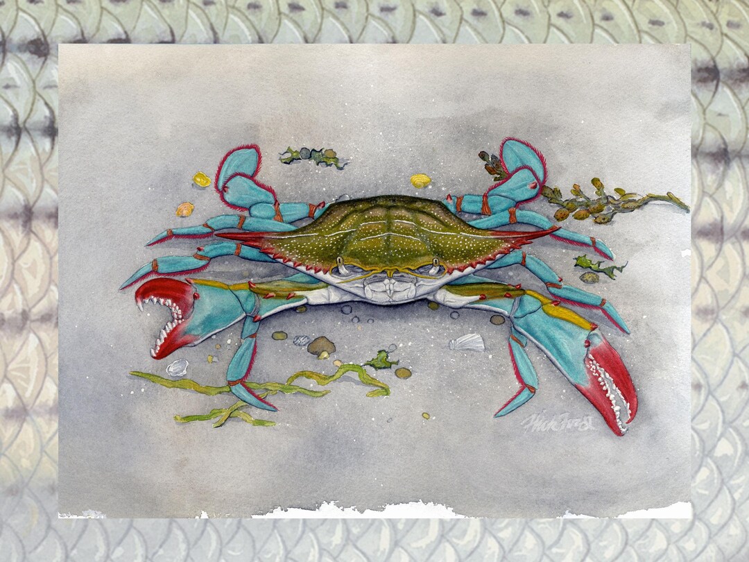 Maryland Blue Crab, Blue Crab Painting by Flick Ford, Beach Art ...