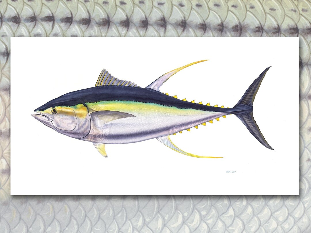 Trophy Yellowfin Tuna Masterworks Limited Edition Print on Canvas by ...