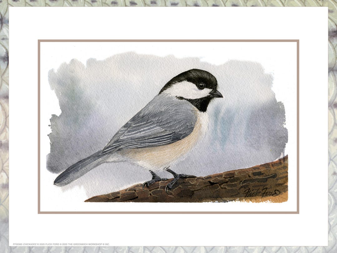 Black Capped Chickadee Open Edition Print by Flick Ford, Natural ...