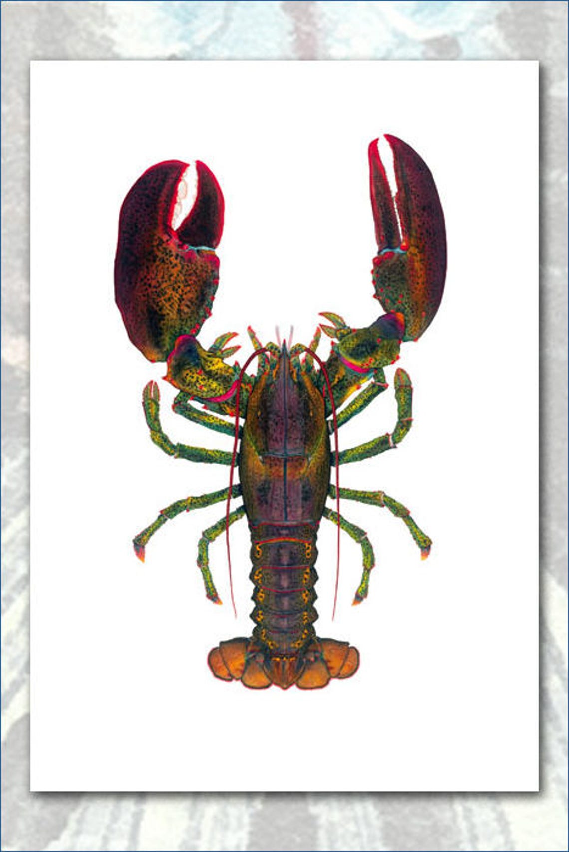 THE World Record 44 Lb. American Lobster Masterworks Limited Edition ...
