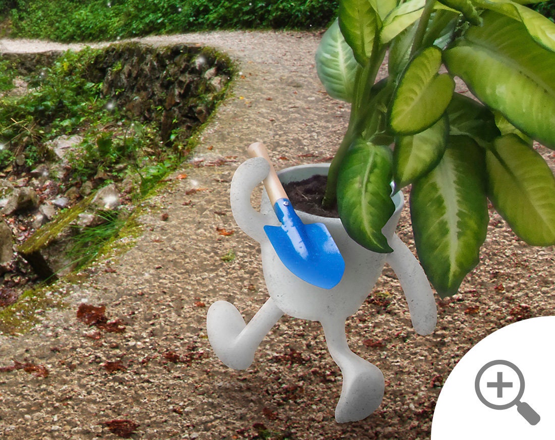 Back to Nature Photography, Cute Funny Creative Poster, Plants Journey ...