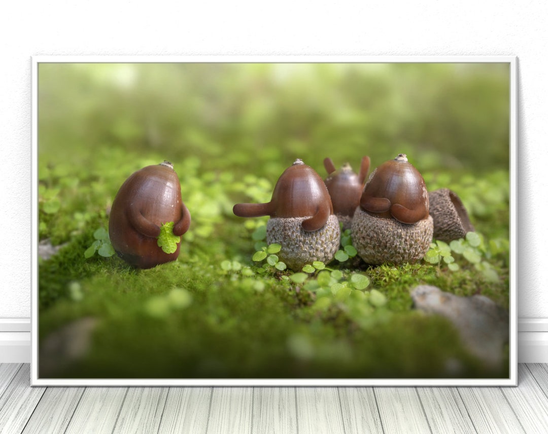 Naked Acorn Poster, Funny Unique Creative Photography, Humorous Nature ...