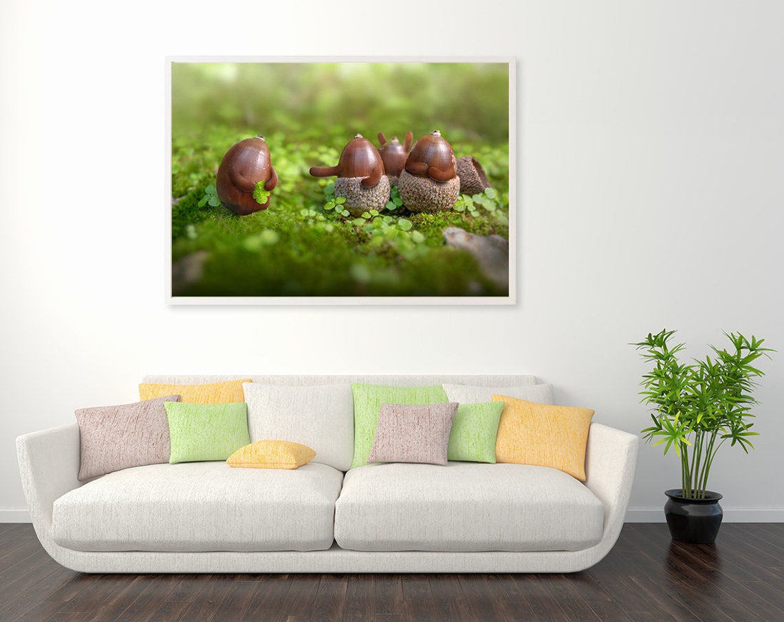 Naked Acorn Poster, Funny Unique Creative Photography, Humorous Nature ...