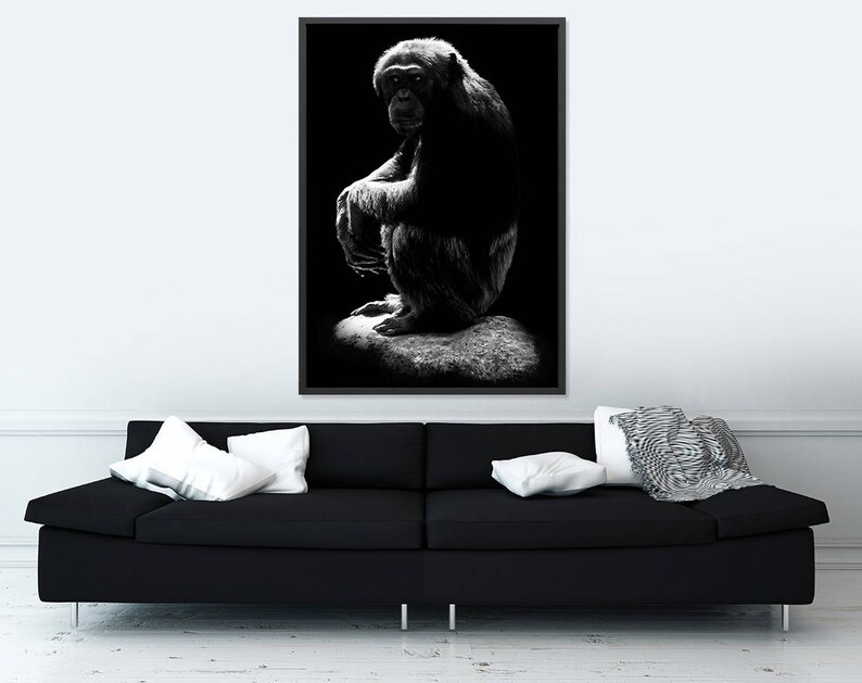 Creative Chimpanzee Print, Black and White Animal Fine Art Photography ...