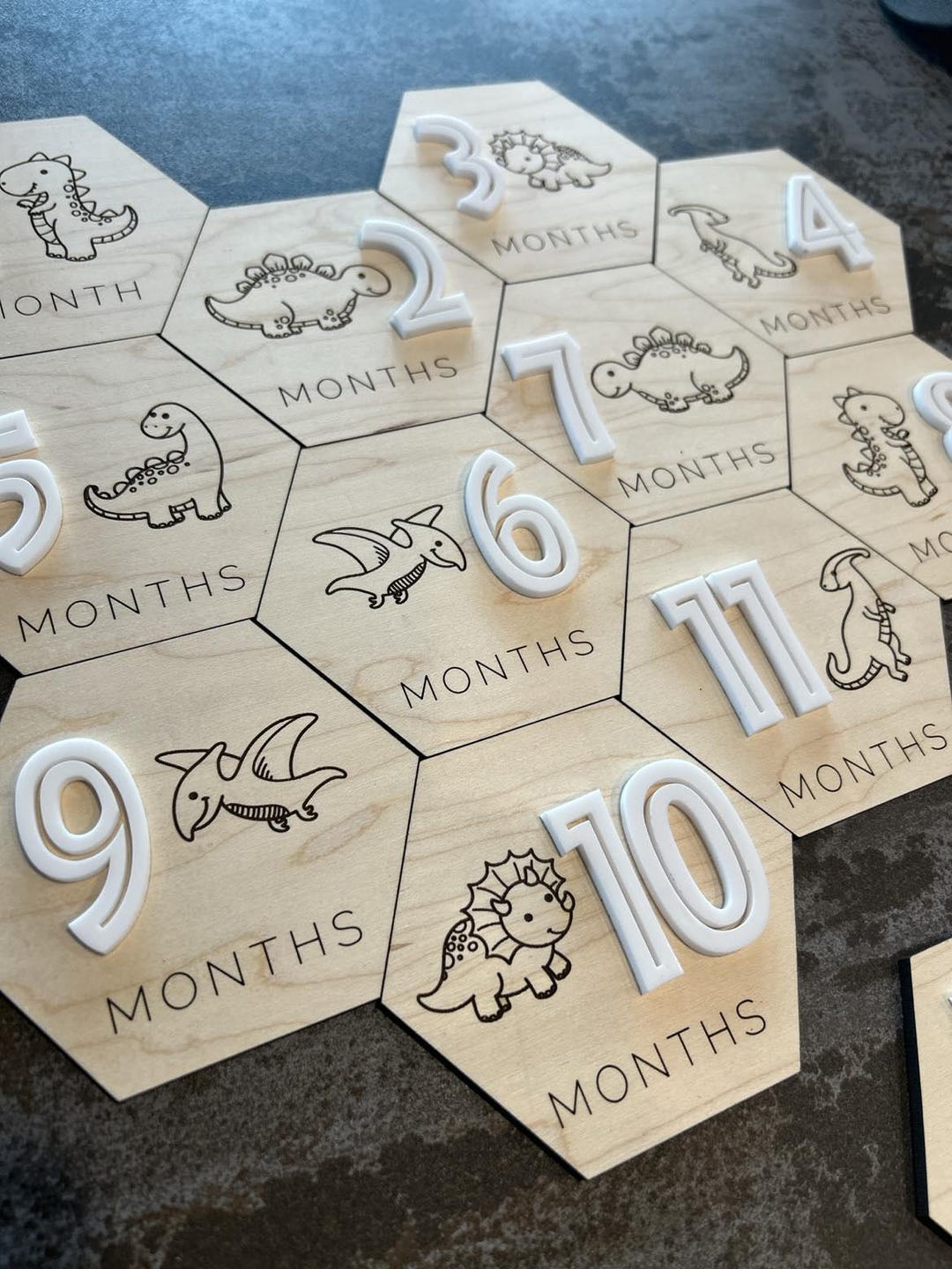 Dinosaur Monthly Milestone Discs: Baby Photo Prop, Birch Wood - Etsy