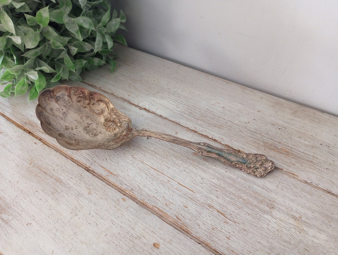 Antique Wm Rogers Silver Plate Berwick Shell Berry Spoon Circa 1904 ...