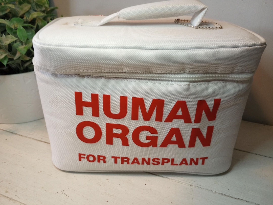 Human Organ Lunch Box Insulated Meal Box Novelty Gift Nurse Doctor CNA ...