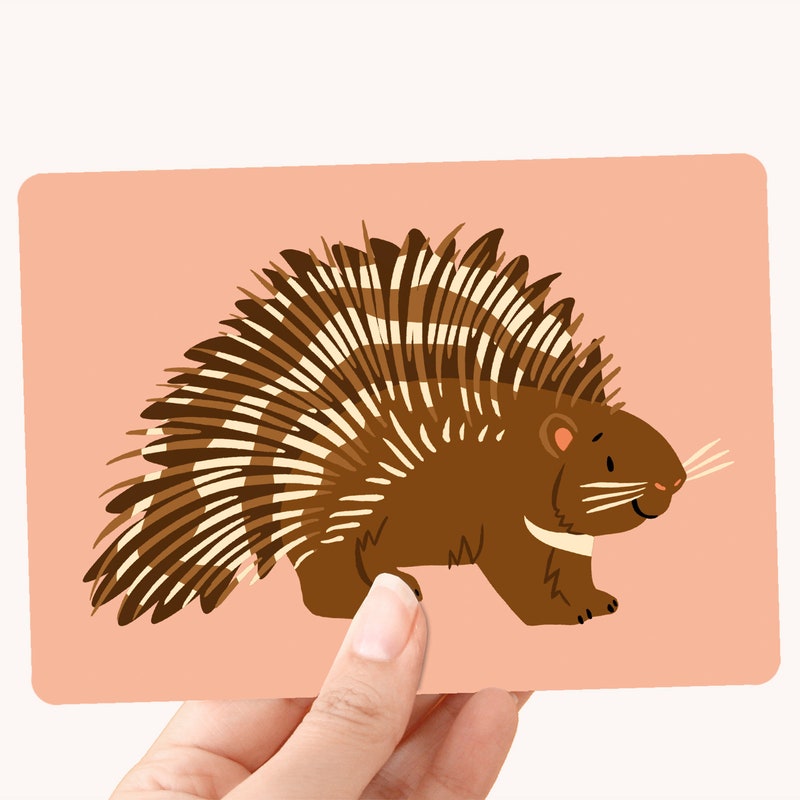 Porcupine Art - Etsy