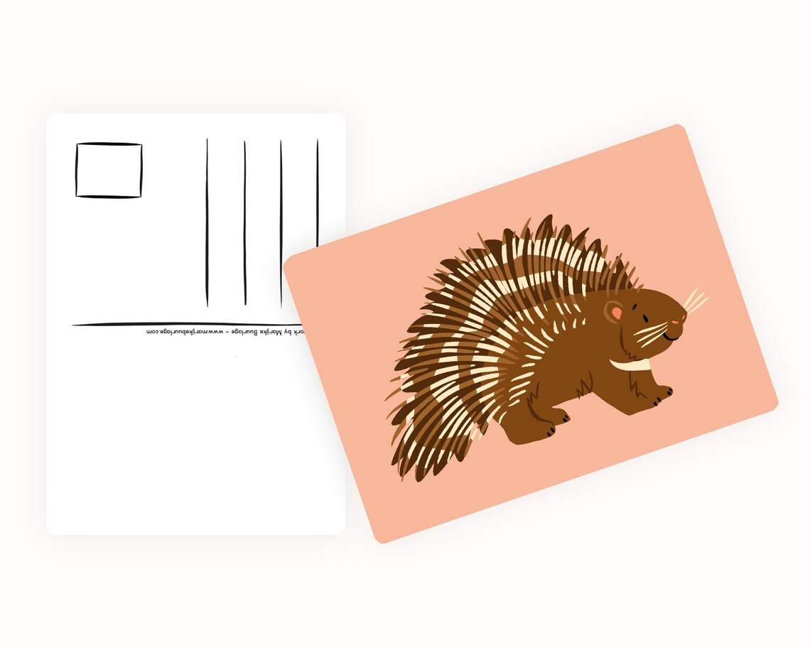 Postcard A6 Porcupine - Card for Kids and Animal Lovers - Etsy