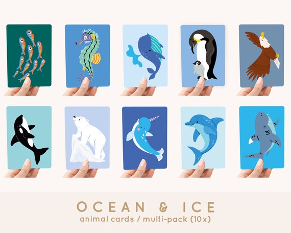 Cards Ocean & Ice A6 MULTI-PACK 10x Animals Greeting Cards - Etsy