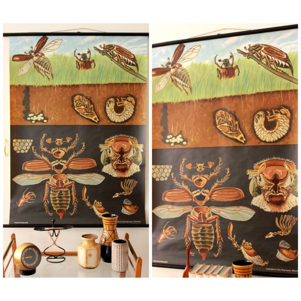 Pull Down Chart - Etsy