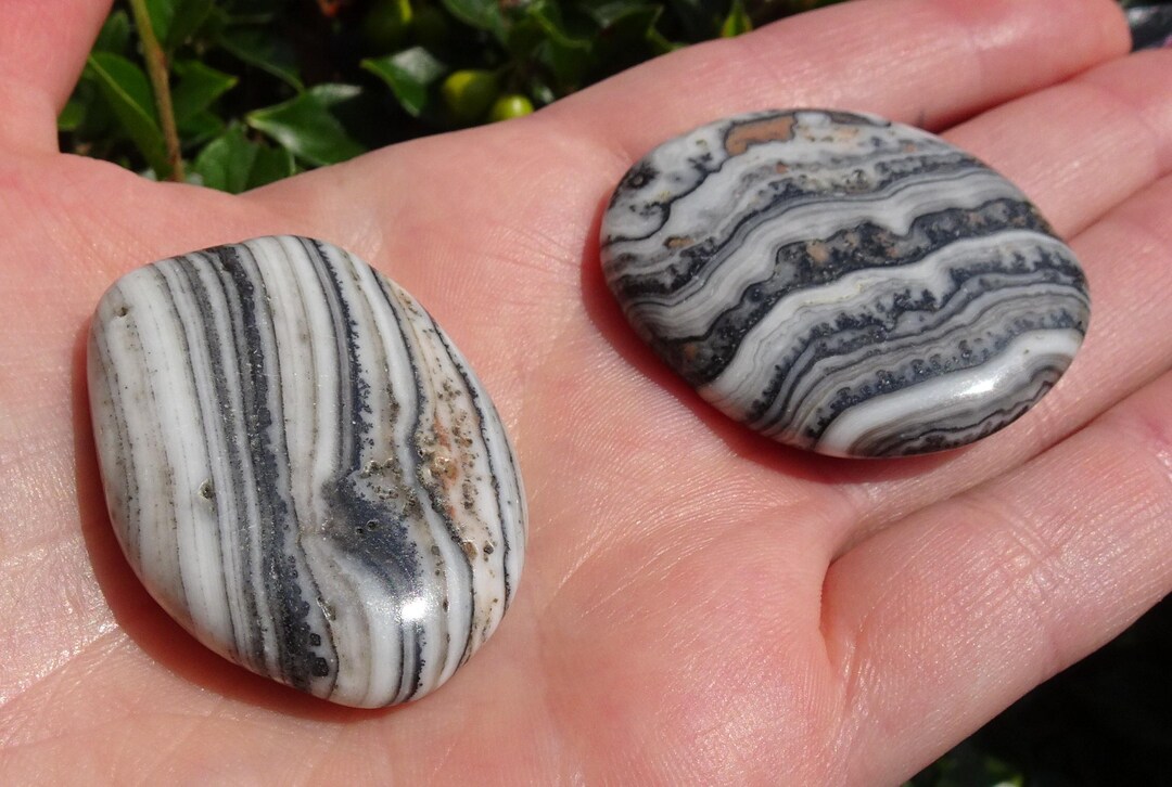 Polished Banded Mexican Crazy Lace Agate Palm Stones 2 Pieces to Choose ...