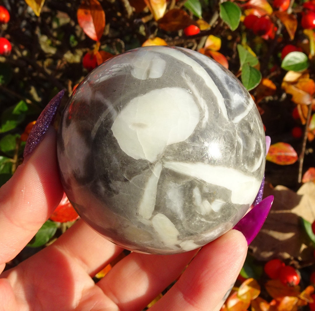 Polished Shell Fossil Jasper Sphere - 353g - 6cm Diameter - Comes With ...