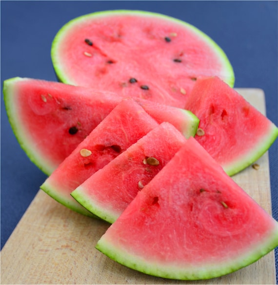 Dwarf Watermelon heirloom Seeds from Bulgaria | Etsy