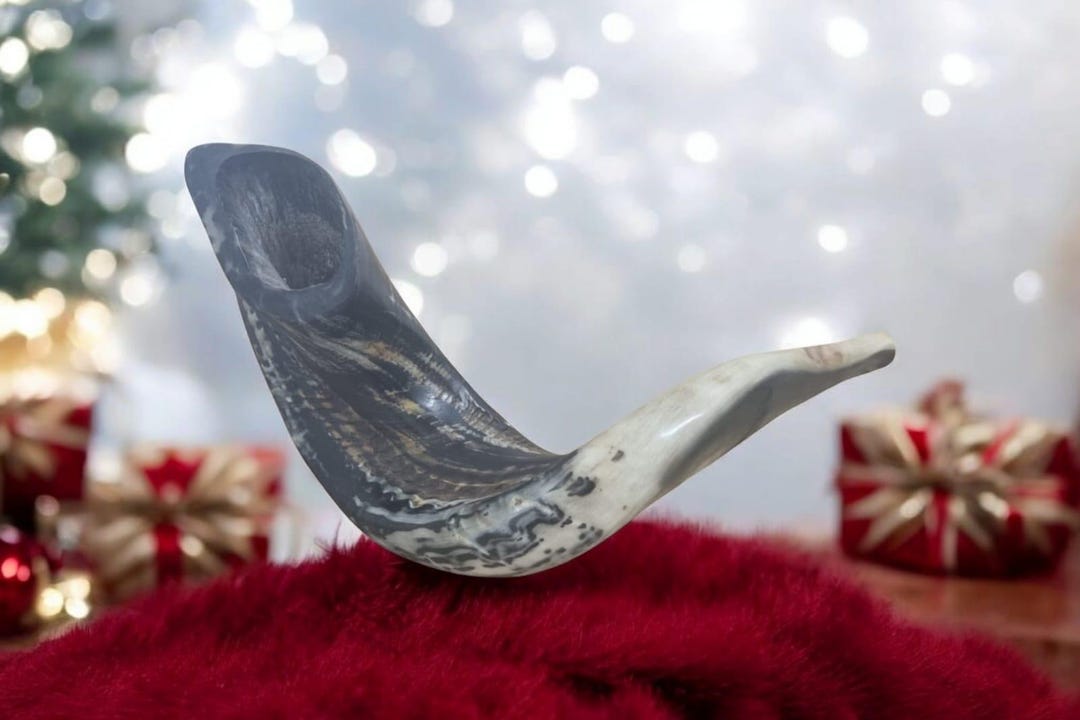 XXL Kosher Ram's Horn Shofar - 25" Easy to Blow - Natural & Polished ...