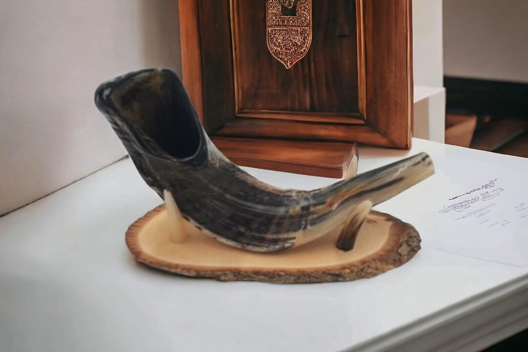 Amazing Shofar Sale 14-16" Ram Rams Horn Chofar From Israel + Wood ...