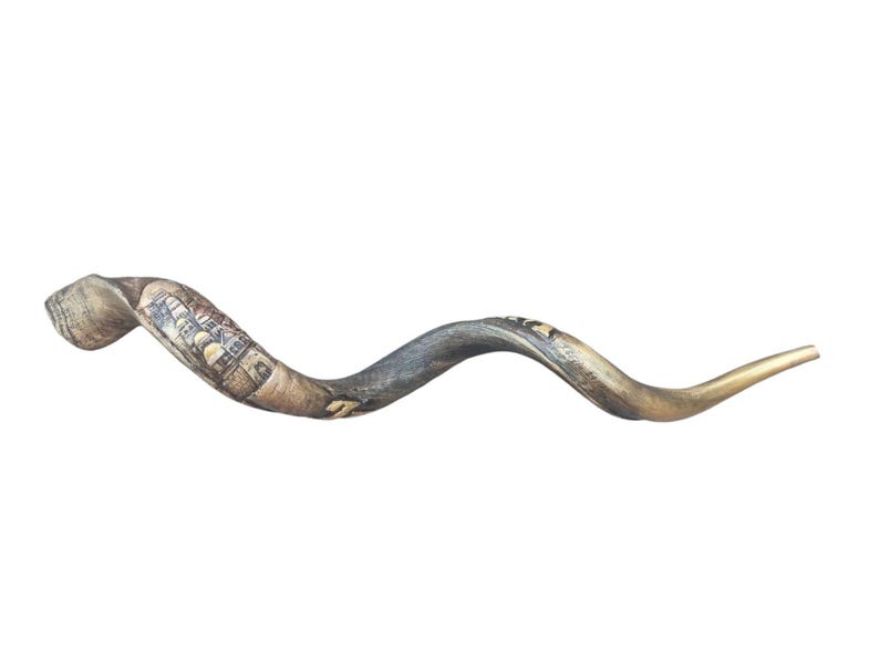 Engraved Kudu Shofar: Jerusalem Design, Yemenite Jewish Horn (51 Inch ...