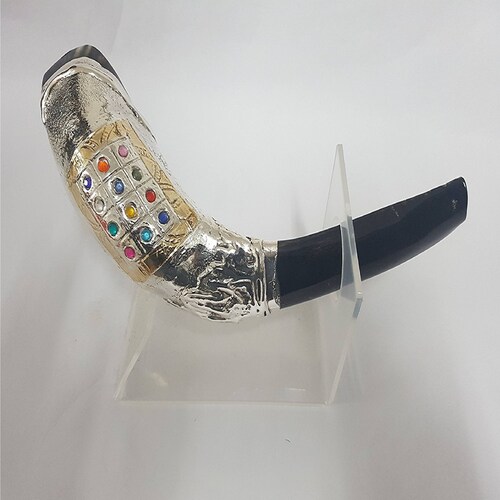 Ram Horn Shofar Trumpet From Israel Wooden Stand Polished | Etsy