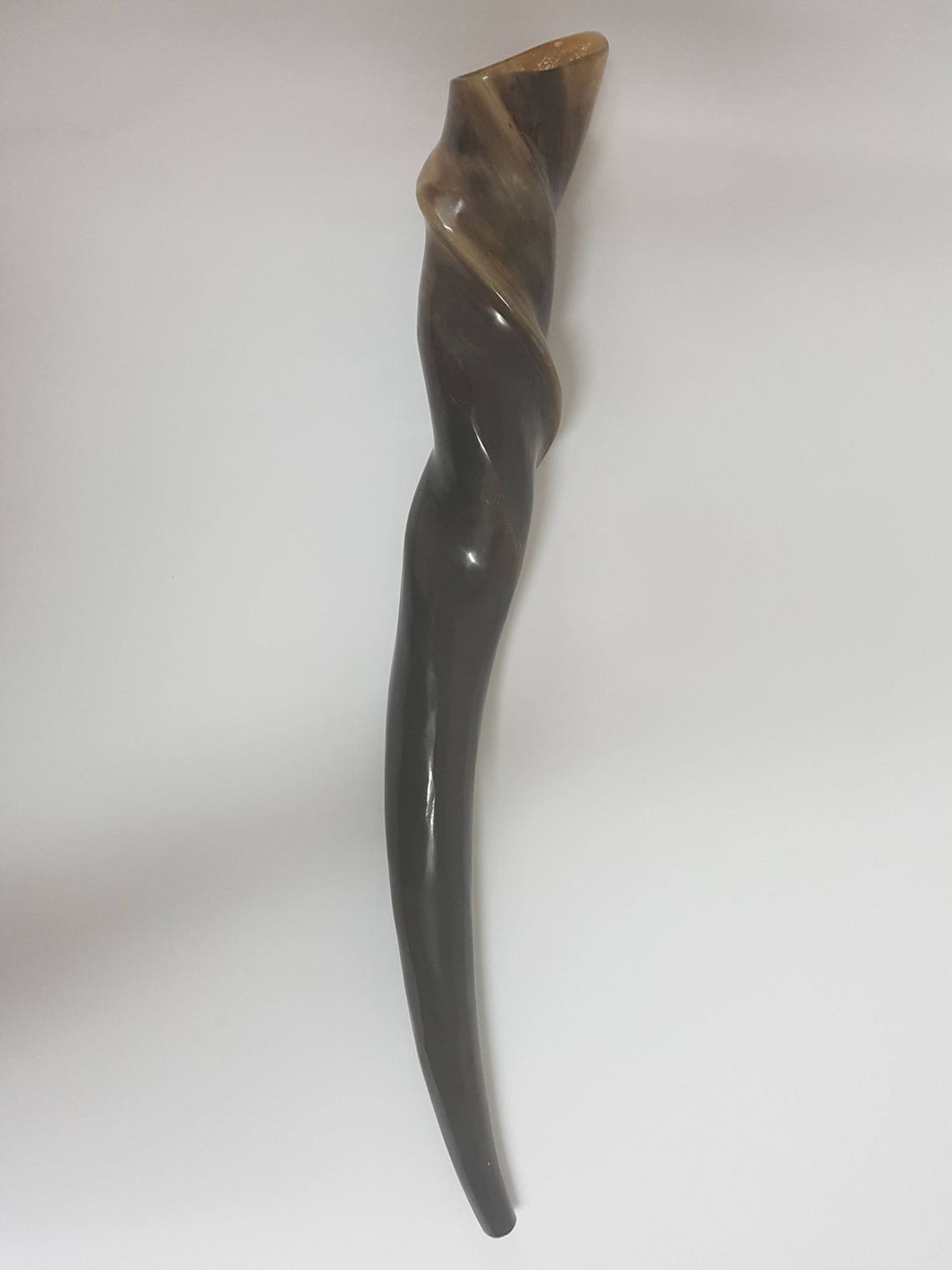 Shofar Eland Horn 1820 Straight Line Measured | Etsy