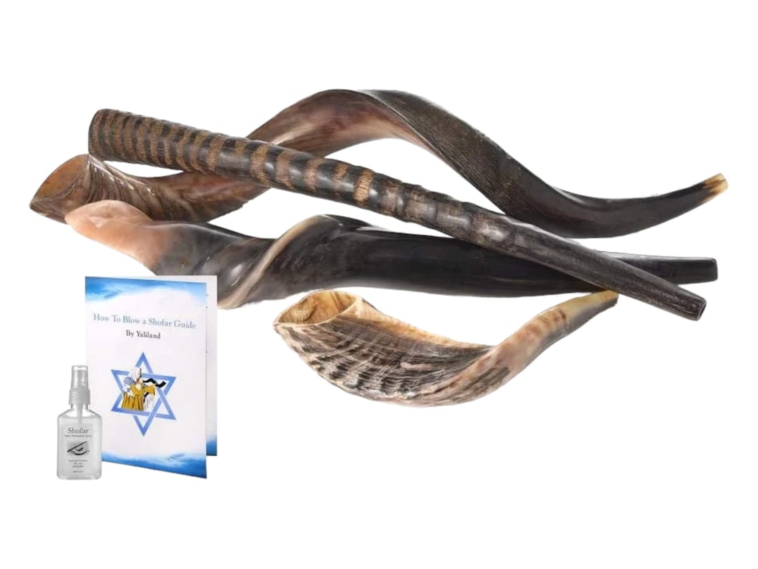 Complete Shofar Horn Set: Kudu, Ram, Gemsbok, Eland - Handcrafted in ...