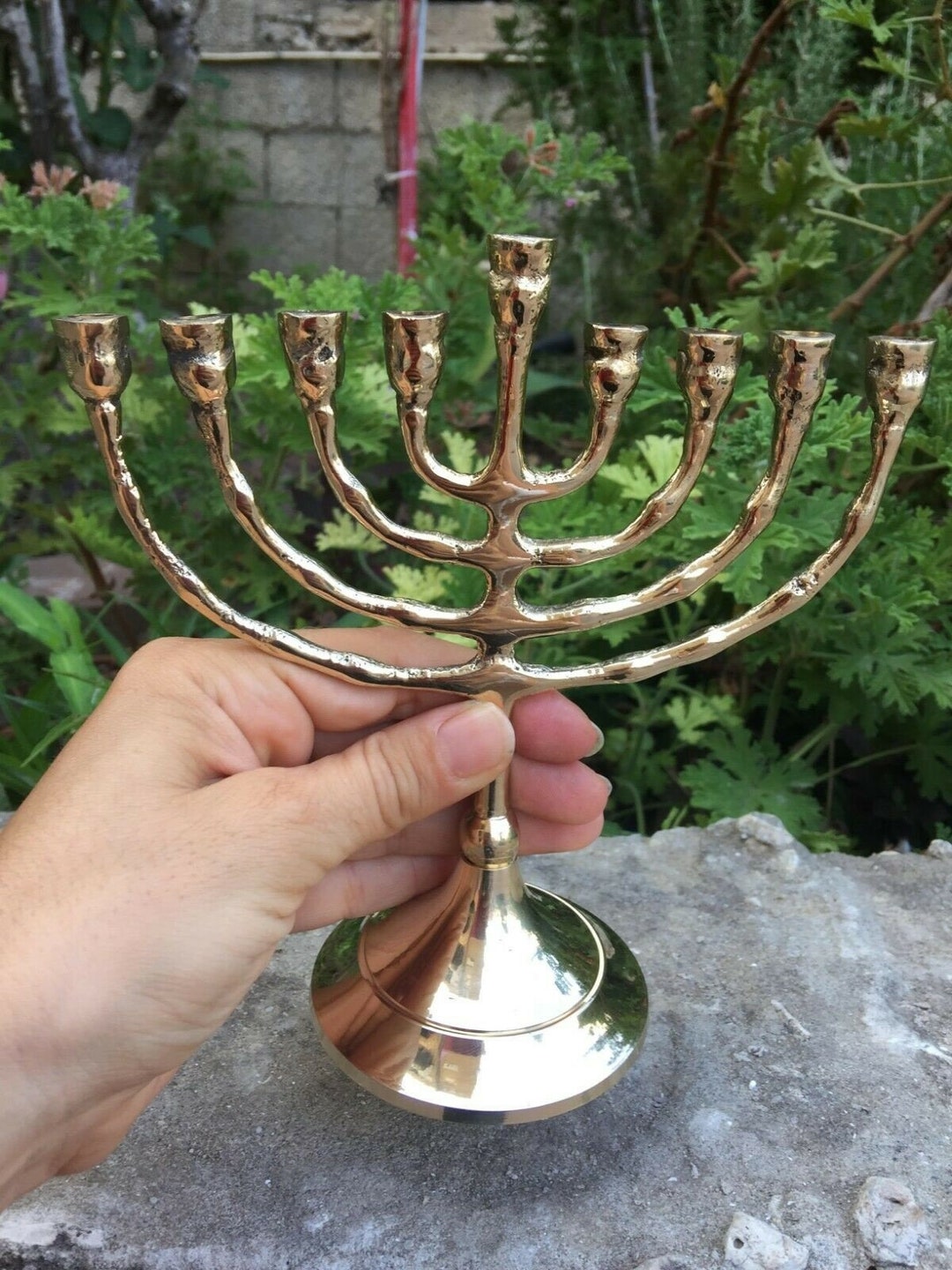 Chanukiah Hanukkah Hanukkia Hanukkiah Hanukkiahs Menorah 6.5" Inch ...