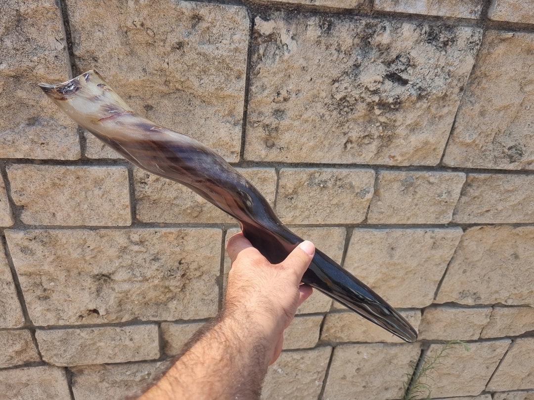 Shofar Eland Horn 18"-20" Straight Line Measured Polished New AMAZING ...