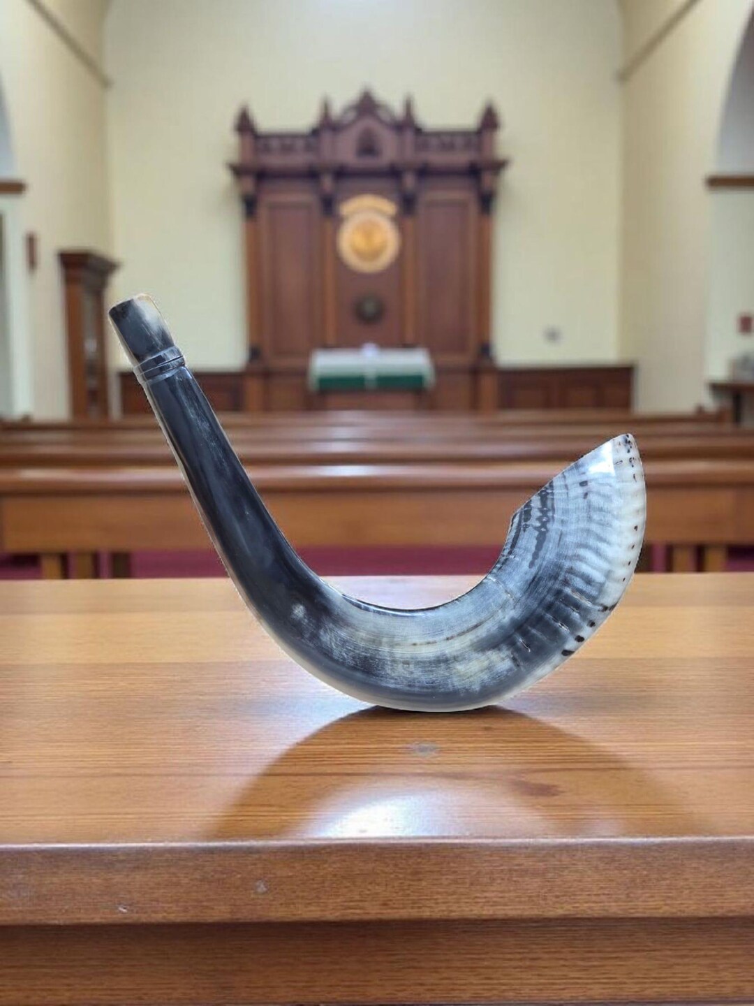 Rare Black Moroccan Ram Shofar - 22" Authentic Jewish Horn, Israel - Etsy