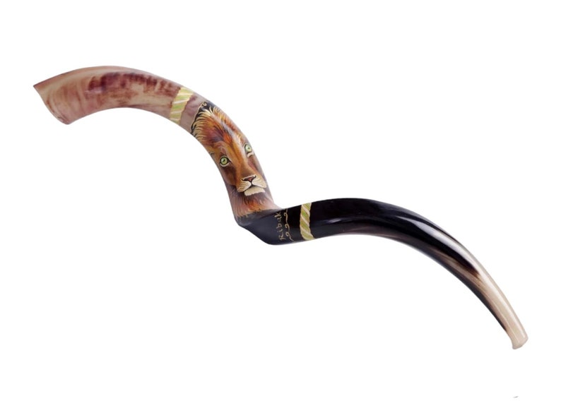 Extra Large Lion of Judah Kudu Shofar (40-42") - Hand-painted Jewish ...