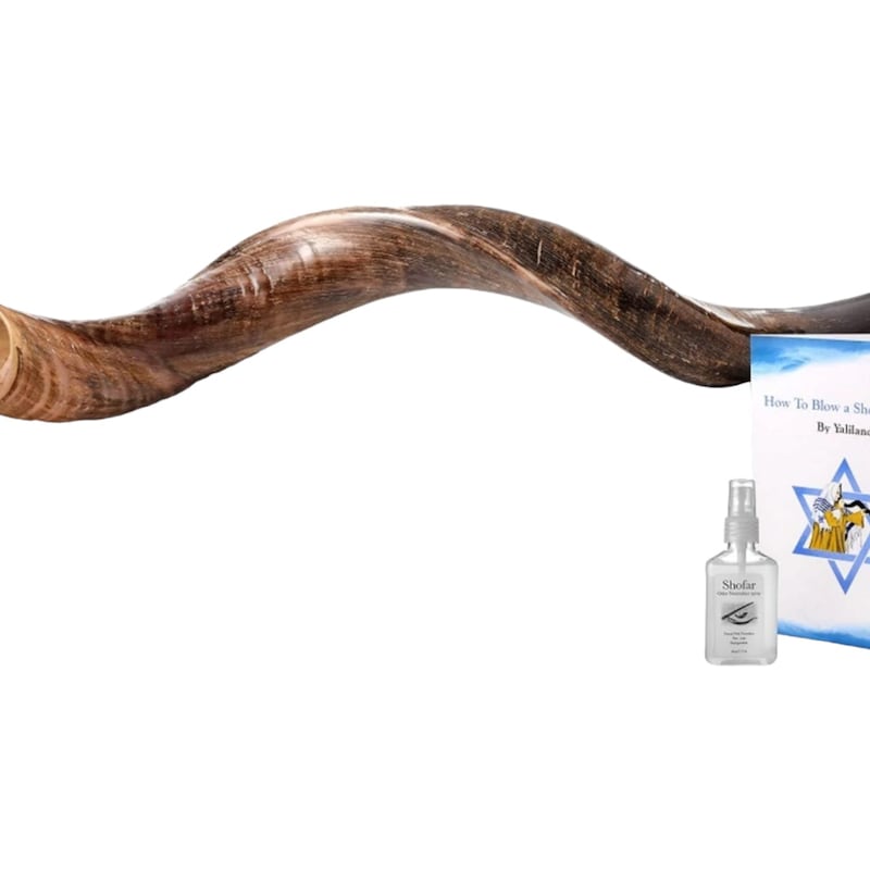 Shofar From Israel - Etsy