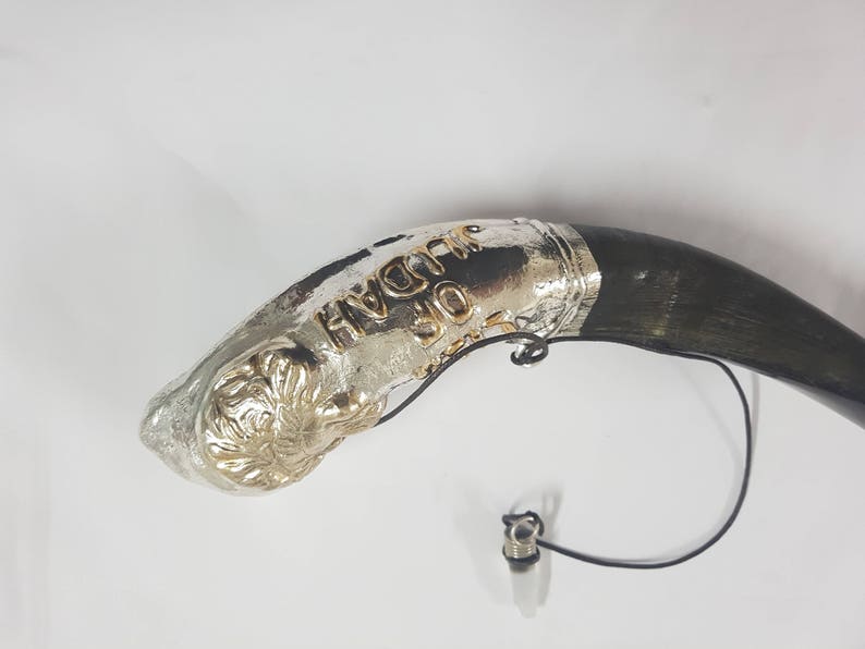Shofar Shofars Kudu Yemenite Sale Judaica Oil Between - Etsy