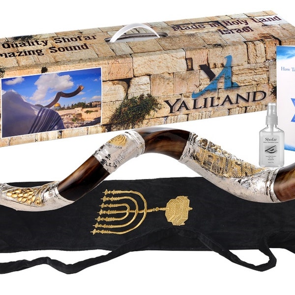 Shofar - Etsy