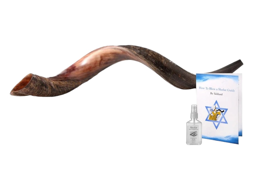 Shofar Yemenite Kudu Half Natural Half Polish 40”-42” + Free Anti Odor ...