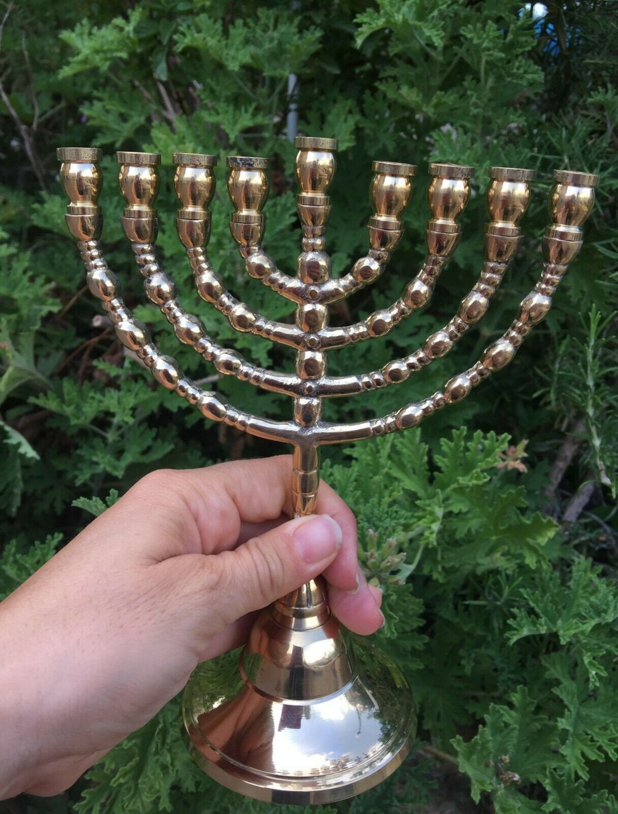 Hanukkah Hamukkia Menorah 7.5 Inch Height 9 Branches - Etsy Canada