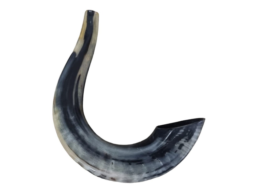 Rams Ram Moroccan Design Horn Shofar Kosher Black 20 Flat Polished Made ...