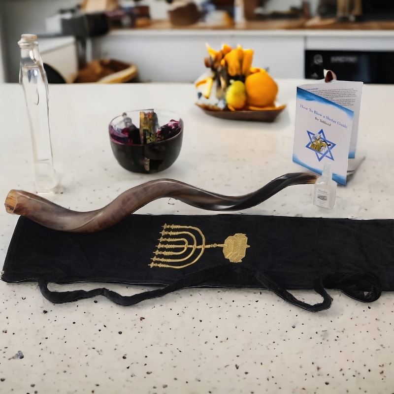 Shofar From Israel - Etsy