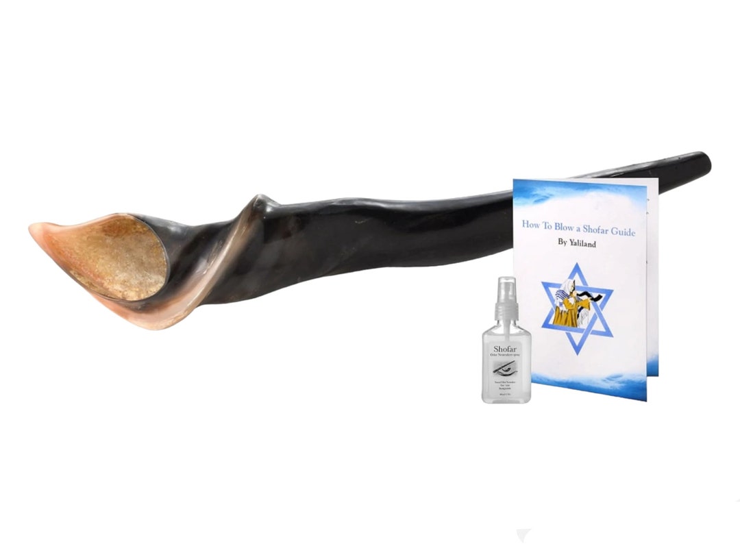 Polished Eland Horn Shofar: 18-20" Straight Line, New - Etsy