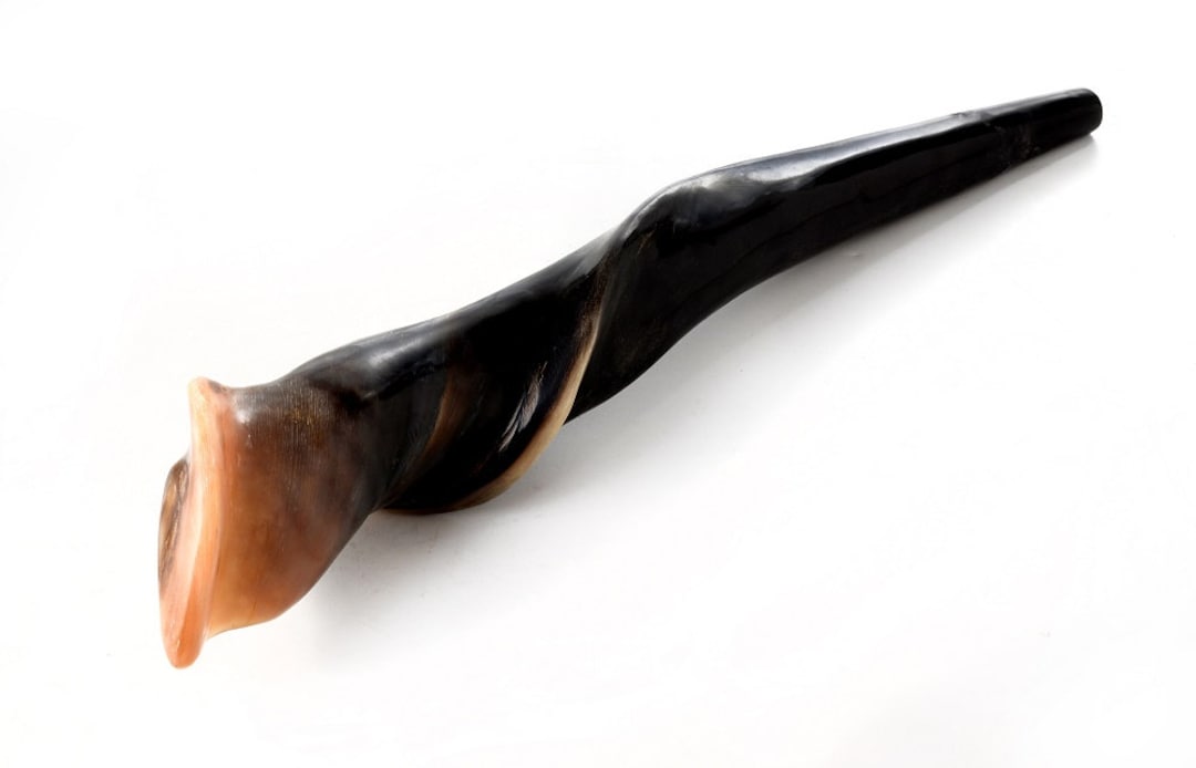 Polished Eland Shofar Horn | 20"+ Straight-measured | Authentic Judaica ...