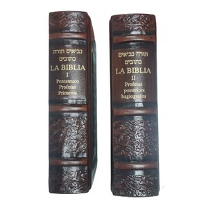Leather BIBLE La Biblia Española Libro HEBREW SPANISH Jewish Tanakh Old ...