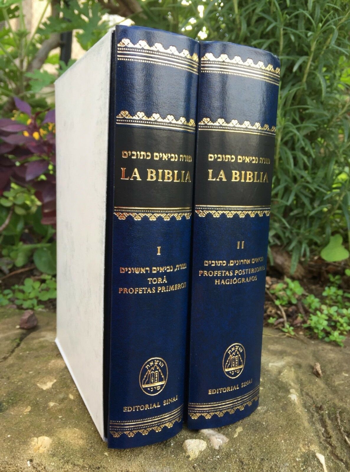 La Biblia Hebreo - Español : Versión Castellana Conforme a La Tradición ...
