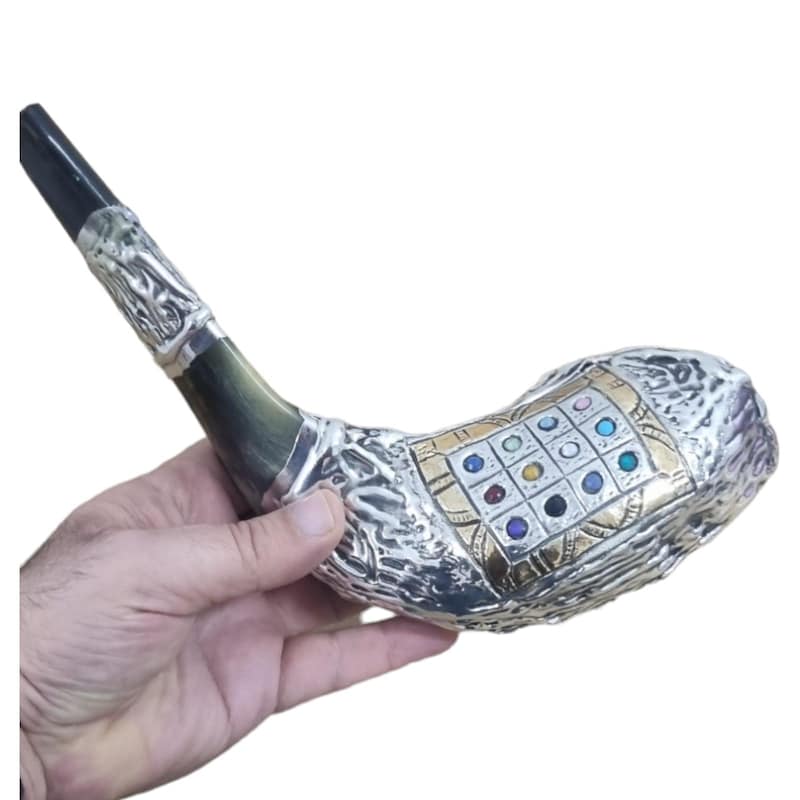 Shofar From Israel - Etsy