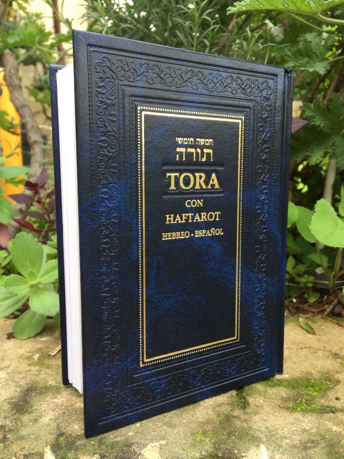 Torah Scroll for sale | Only 2 left at -65%