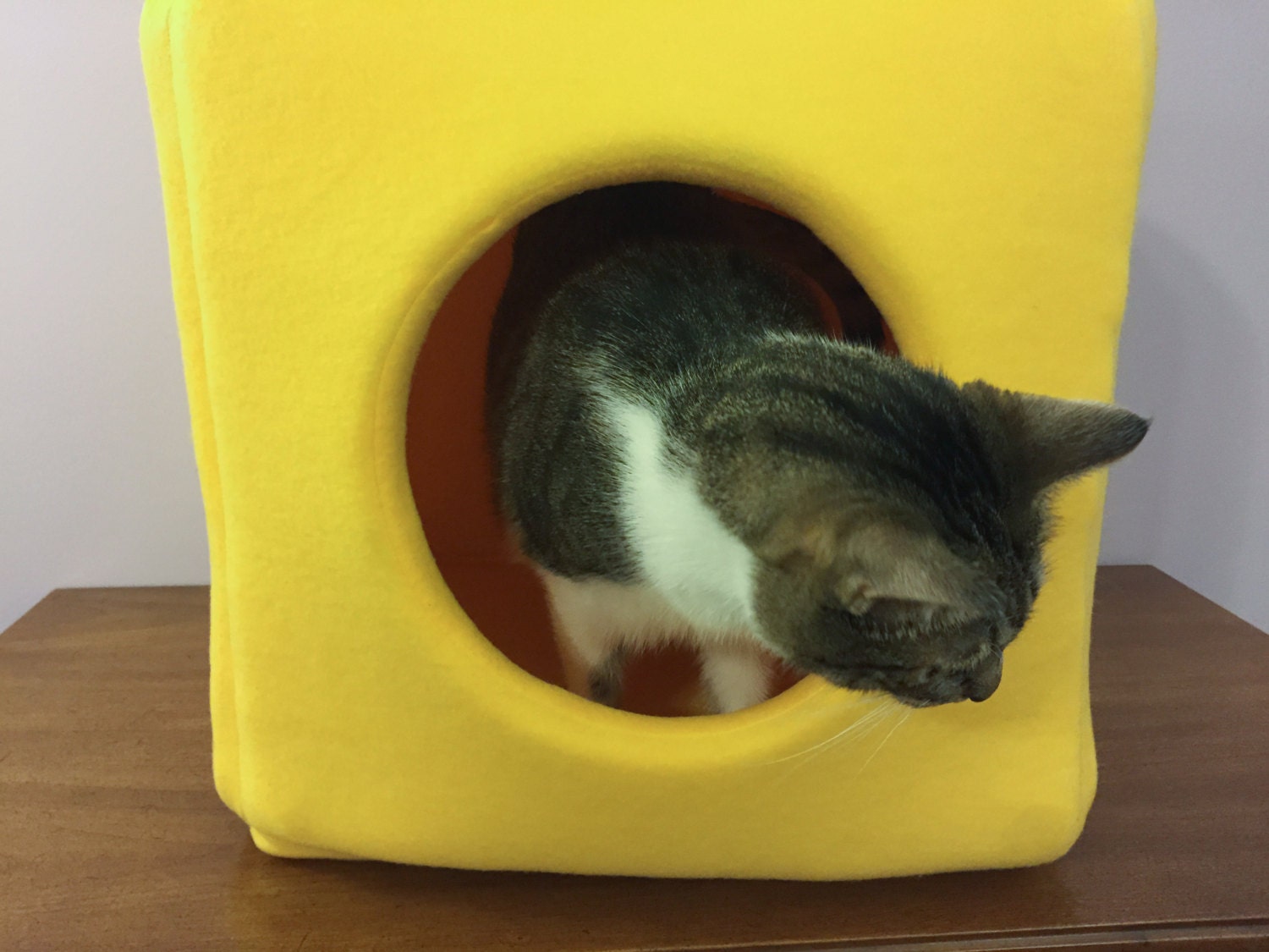 Cat Cube / Bed / Lounge - Etsy