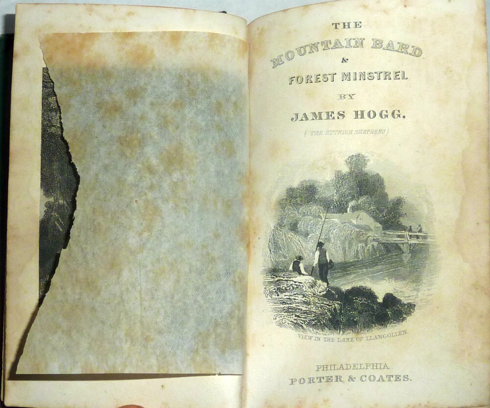 JAMES HOGG Scottish Poetry Mountain Bard Legendary Ballads and - Etsy
