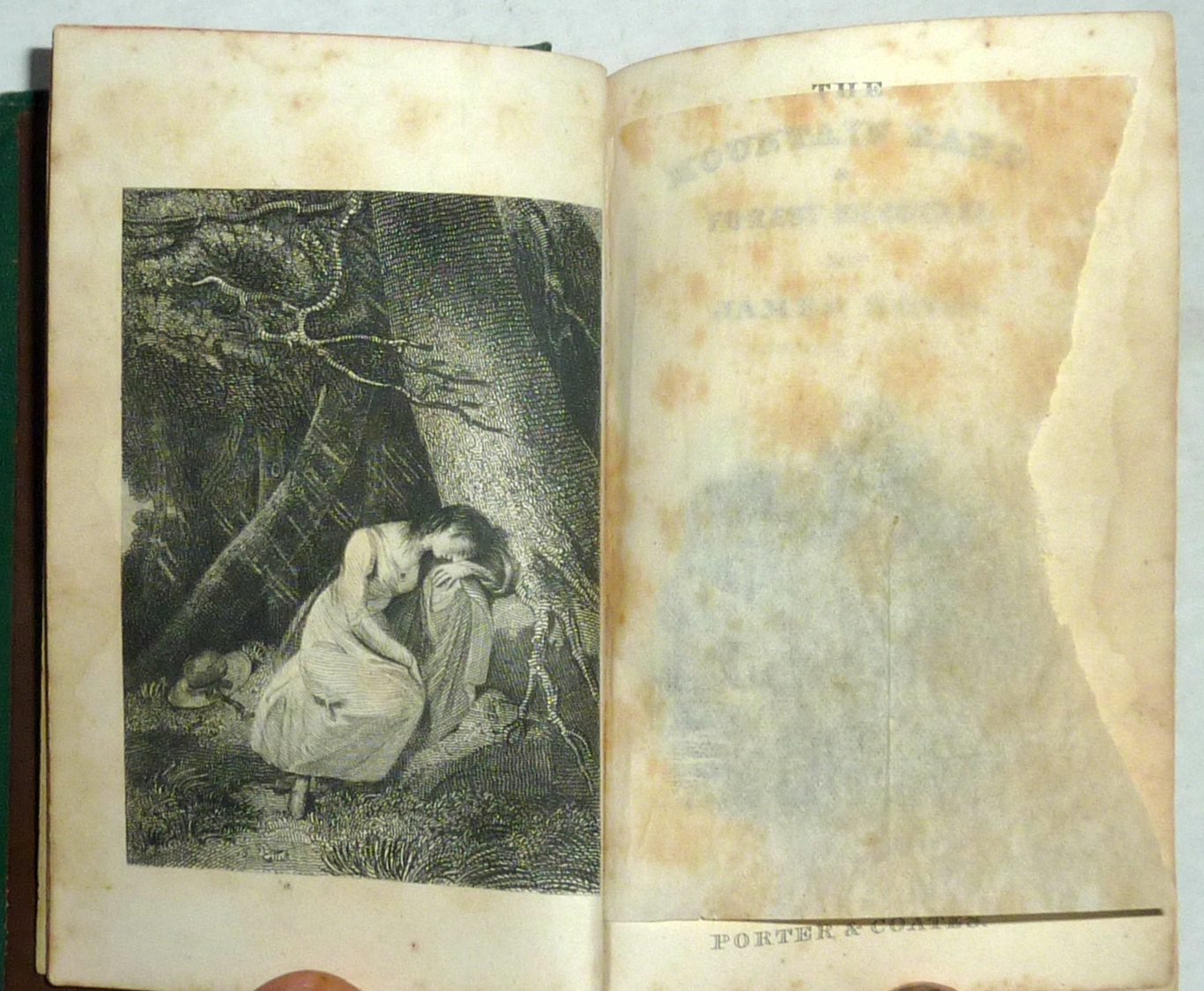 JAMES HOGG Scottish Poetry Mountain Bard Legendary Ballads and - Etsy