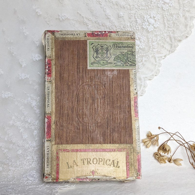 La Tropicals - Etsy Canada